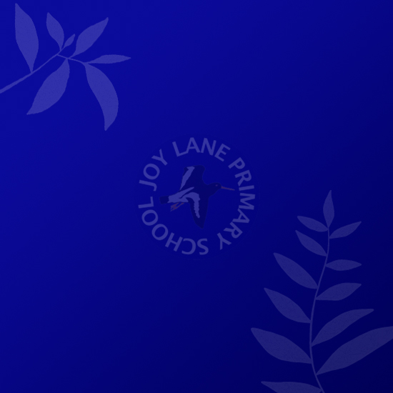Joy Lane Primary School - Computing